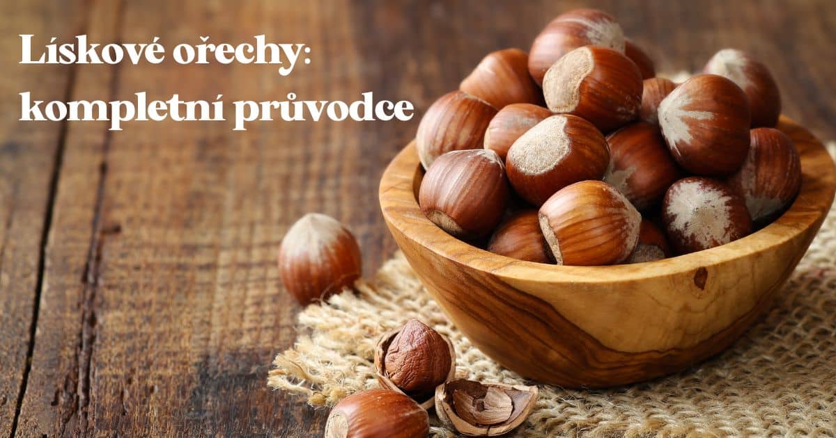 Lieskové orechy – kompletný sprievodca zdravím